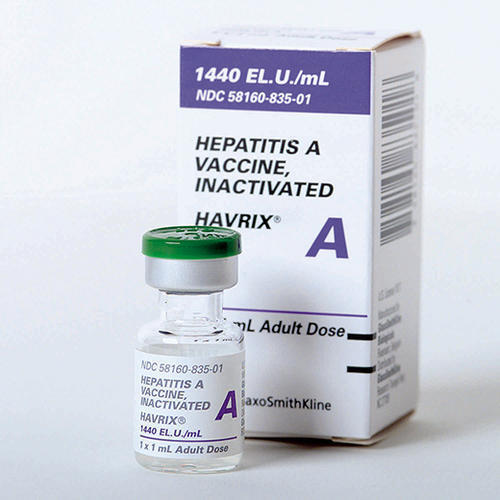 Havrix Hepatitis A adult vaccine 1440 EL.U./ml – 3S Corporation